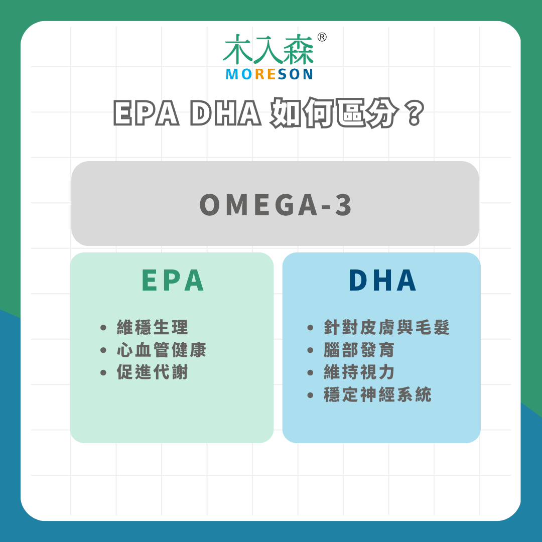 寵物魚油成分全解析：從 Omega-3 到維生素，一篇文章全搞懂！ - 木入森Moreson｜寵物保健食品｜犬貓營養分類 精準保健補充